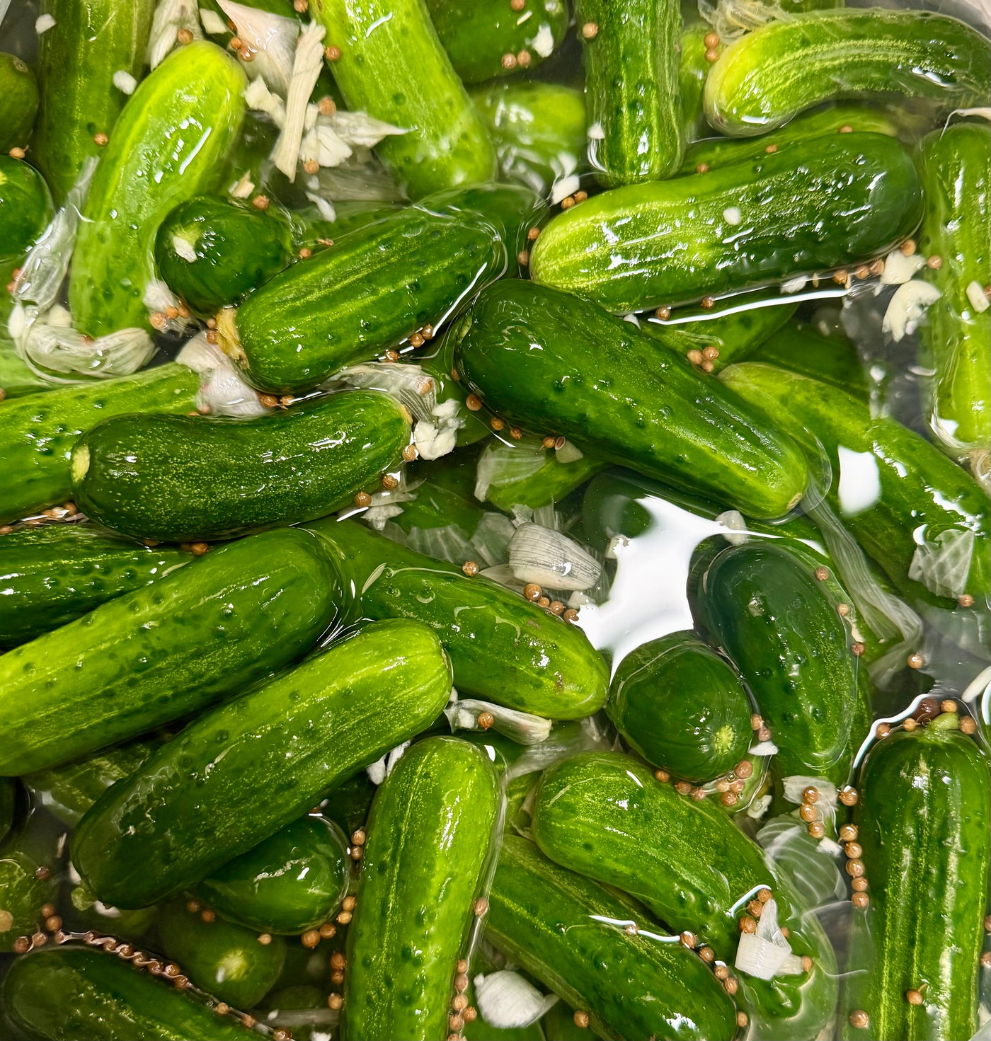 Pickles – Pickle Licious