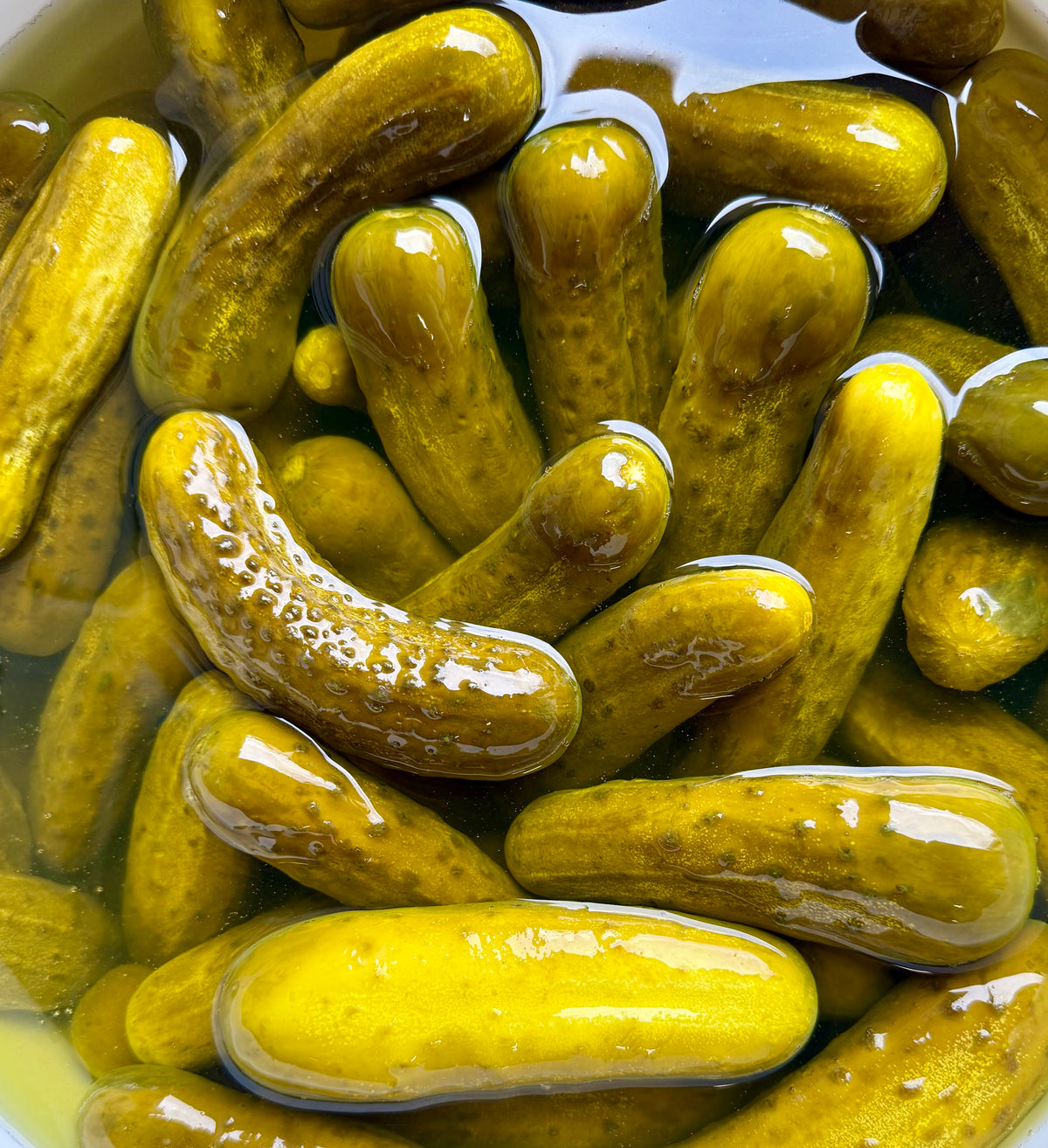 Pickles – Pickle Licious